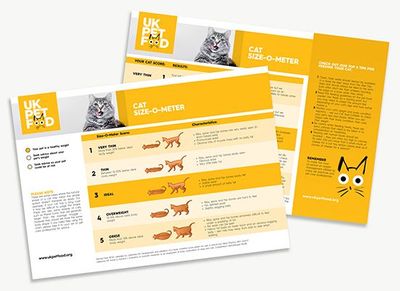Cat-Size-O-Meter | UK Pet Food